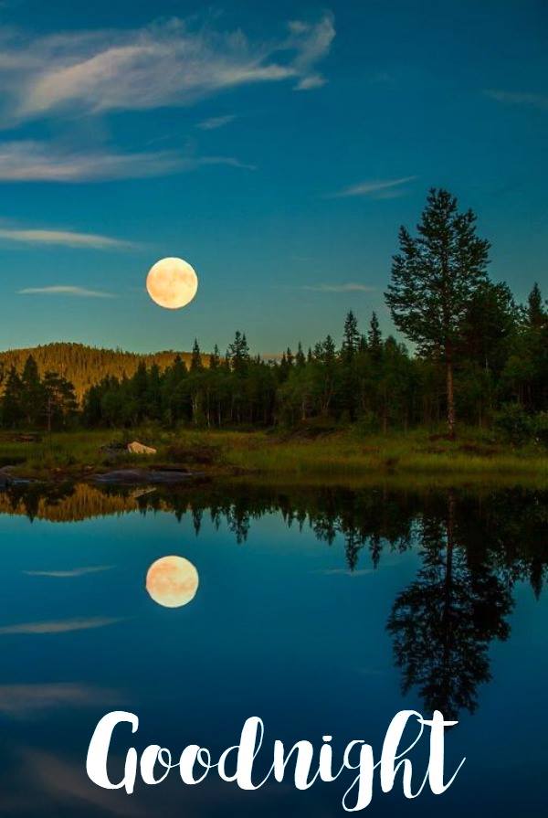 Good Night - Good Night Images Nature - 600x895 Wallpaper - teahub.io