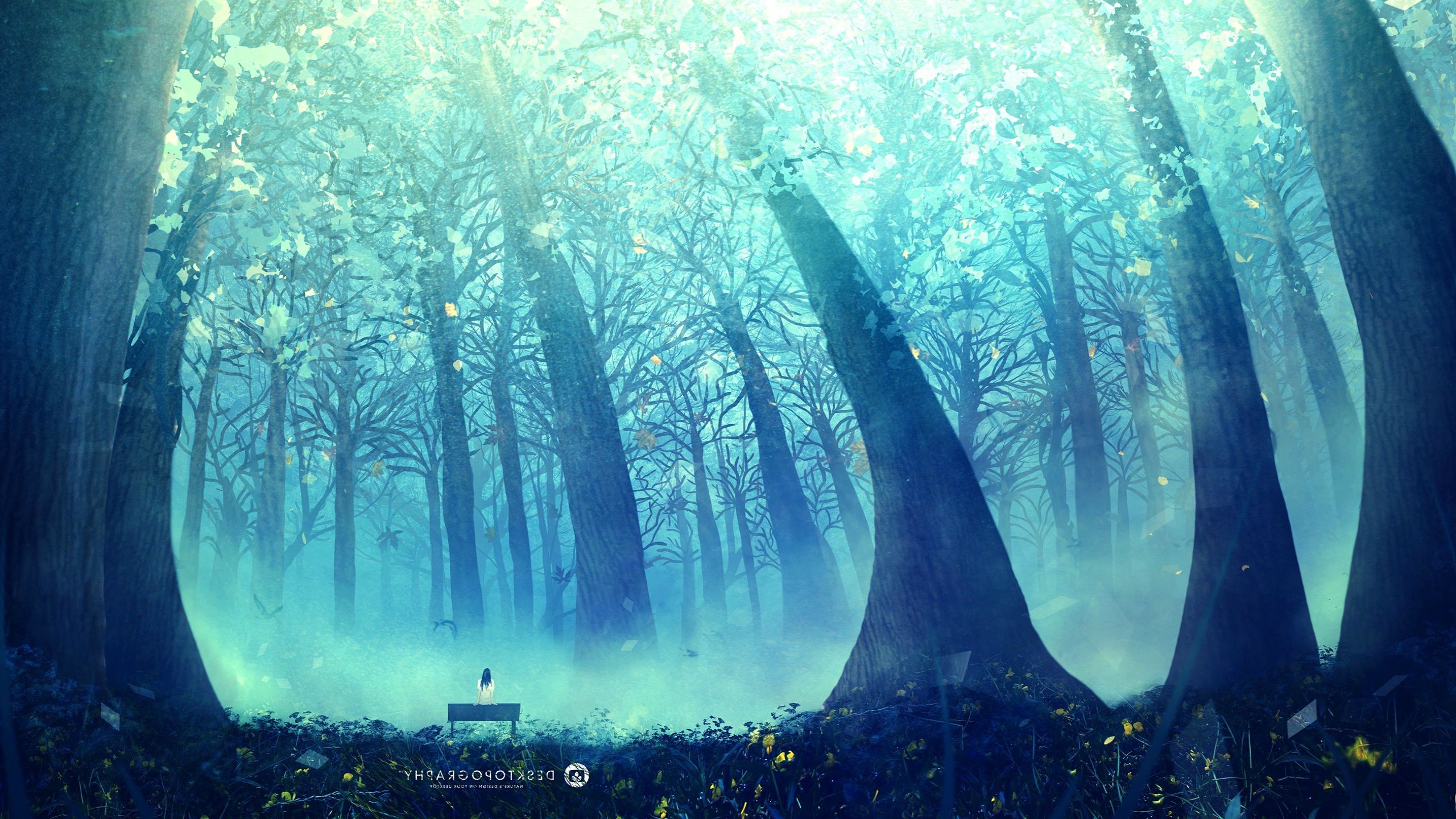 Digital Art Forest Background - 2560x1440 Wallpaper - teahub.io
