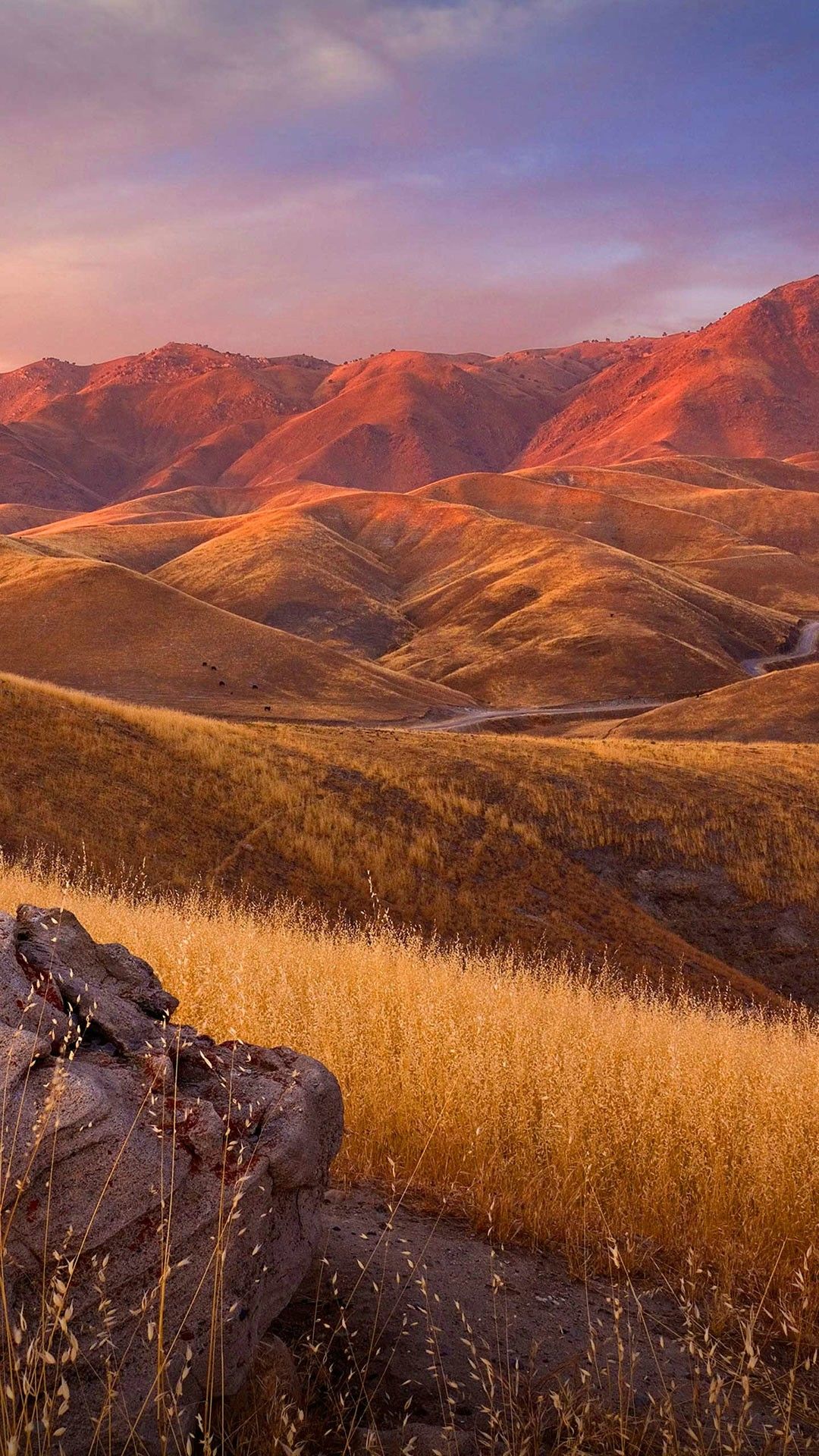 Xiaomi Redmi Note 2 - 1080x1920 Wallpaper - teahub.io