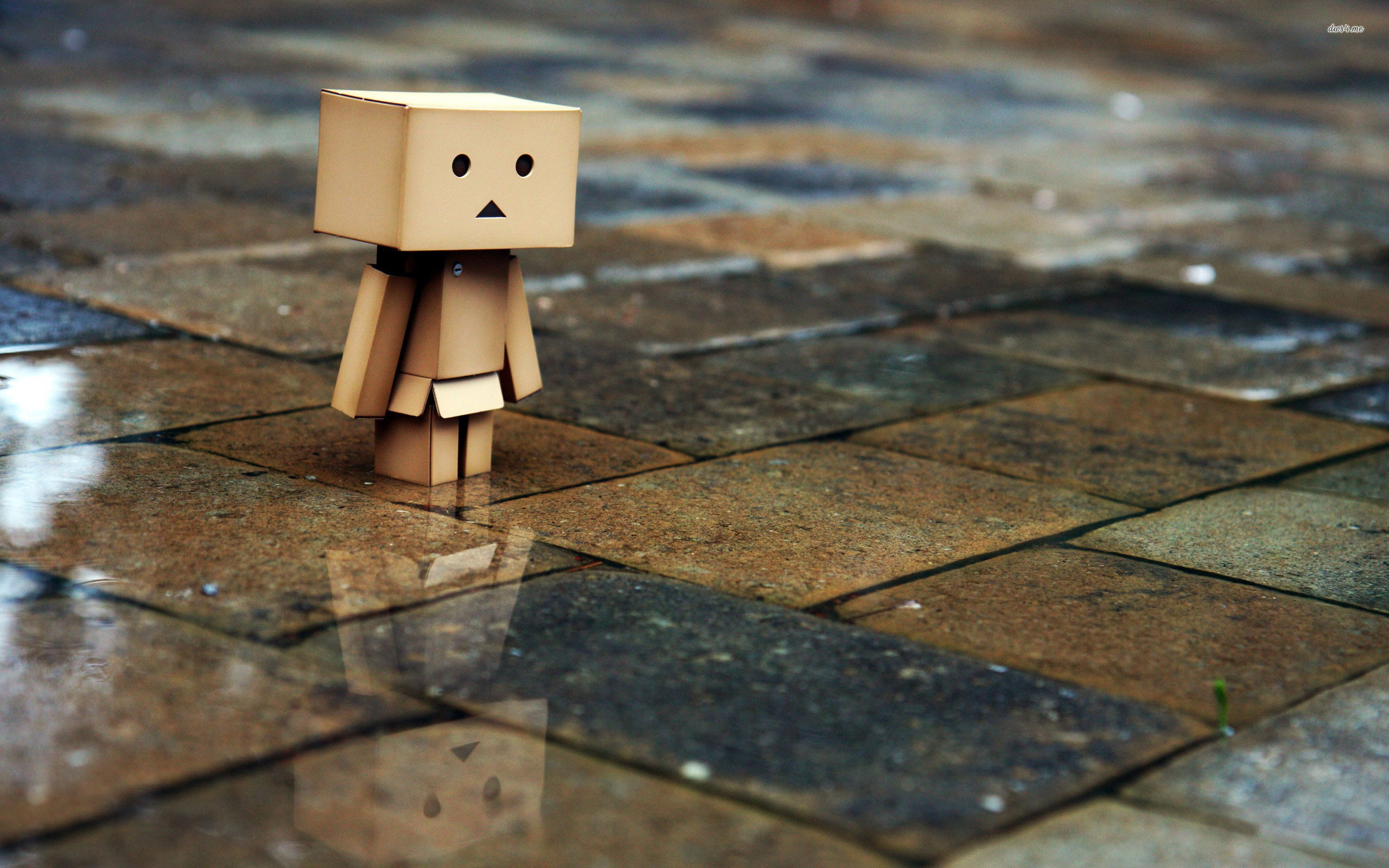 Dambo - 2560x1600 Wallpaper - teahub.io