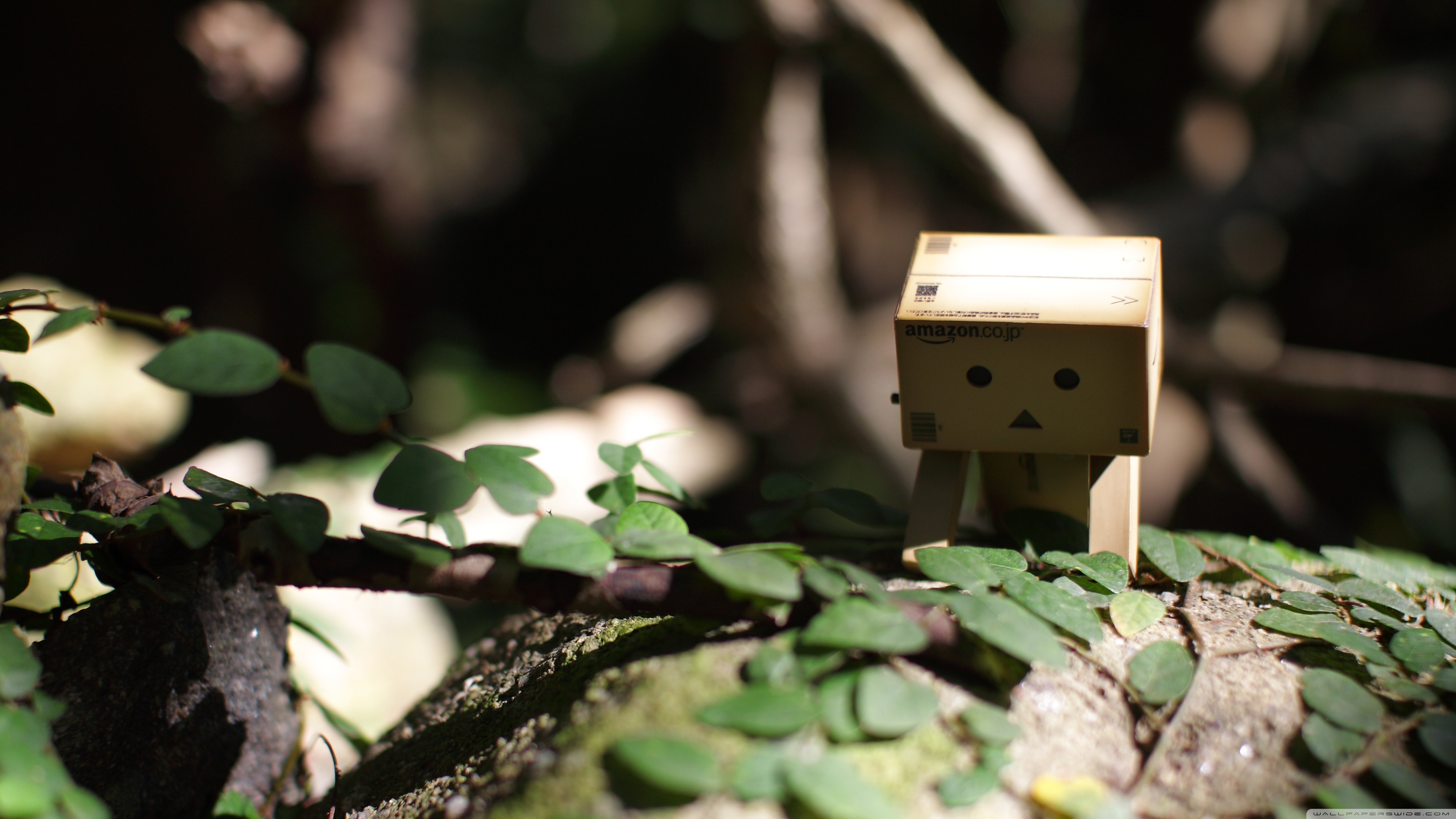 Danbo Wallpaper 4k - 3840x2160 Wallpaper - teahub.io