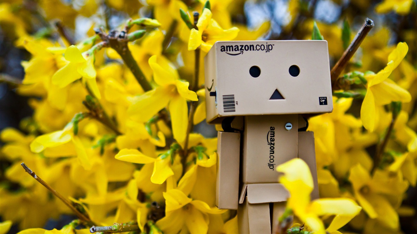 Danbo Spring Time-carton With The Film People Danbo - 2048 Times 1152 ...