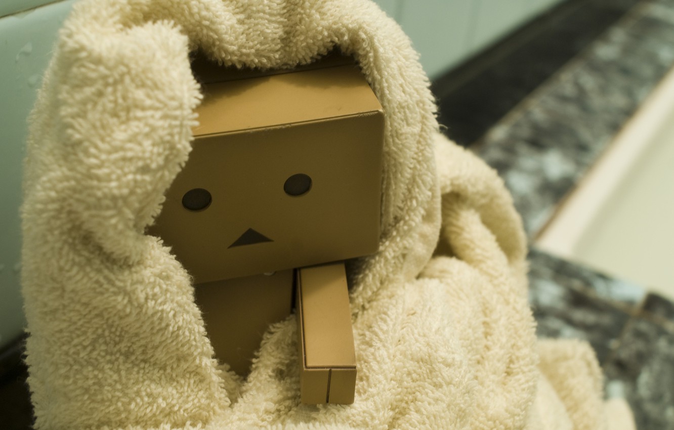 Photo Wallpaper Box, Head, Cardboard, Danbo - Box Head - 1332x850 ...