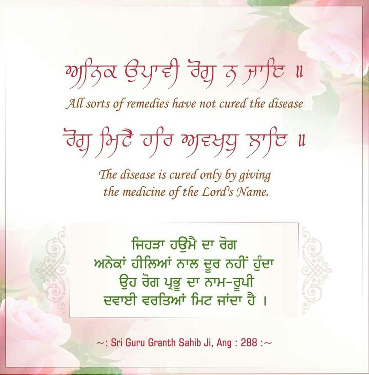 Lal Rang Tis Ko Laga Guru Bani Quotes - 736x747 Wallpaper - teahub.io