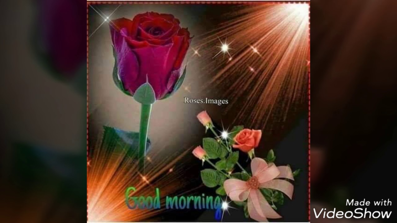 Phool Phool Phool - 1280x720 Wallpaper - teahub.io