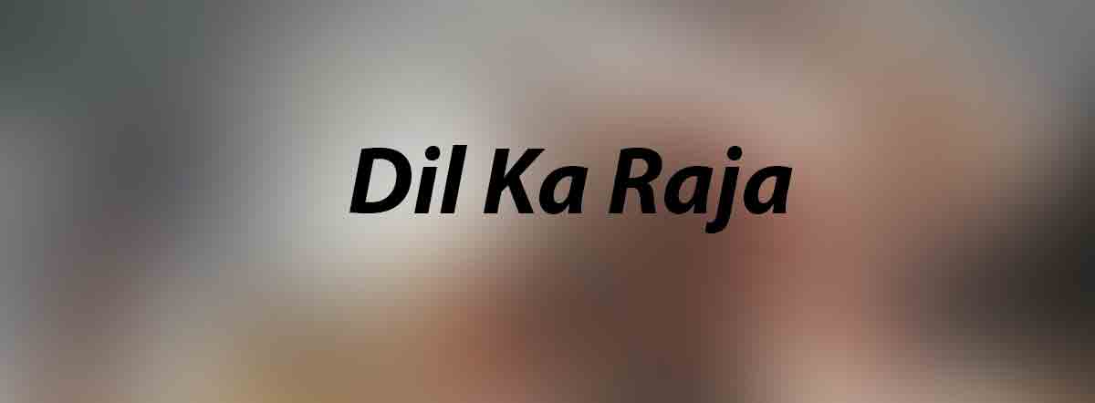 Dil Ka Raja First Look Poster - Dil Ka Raja Logo - 1200x442 Wallpaper ...