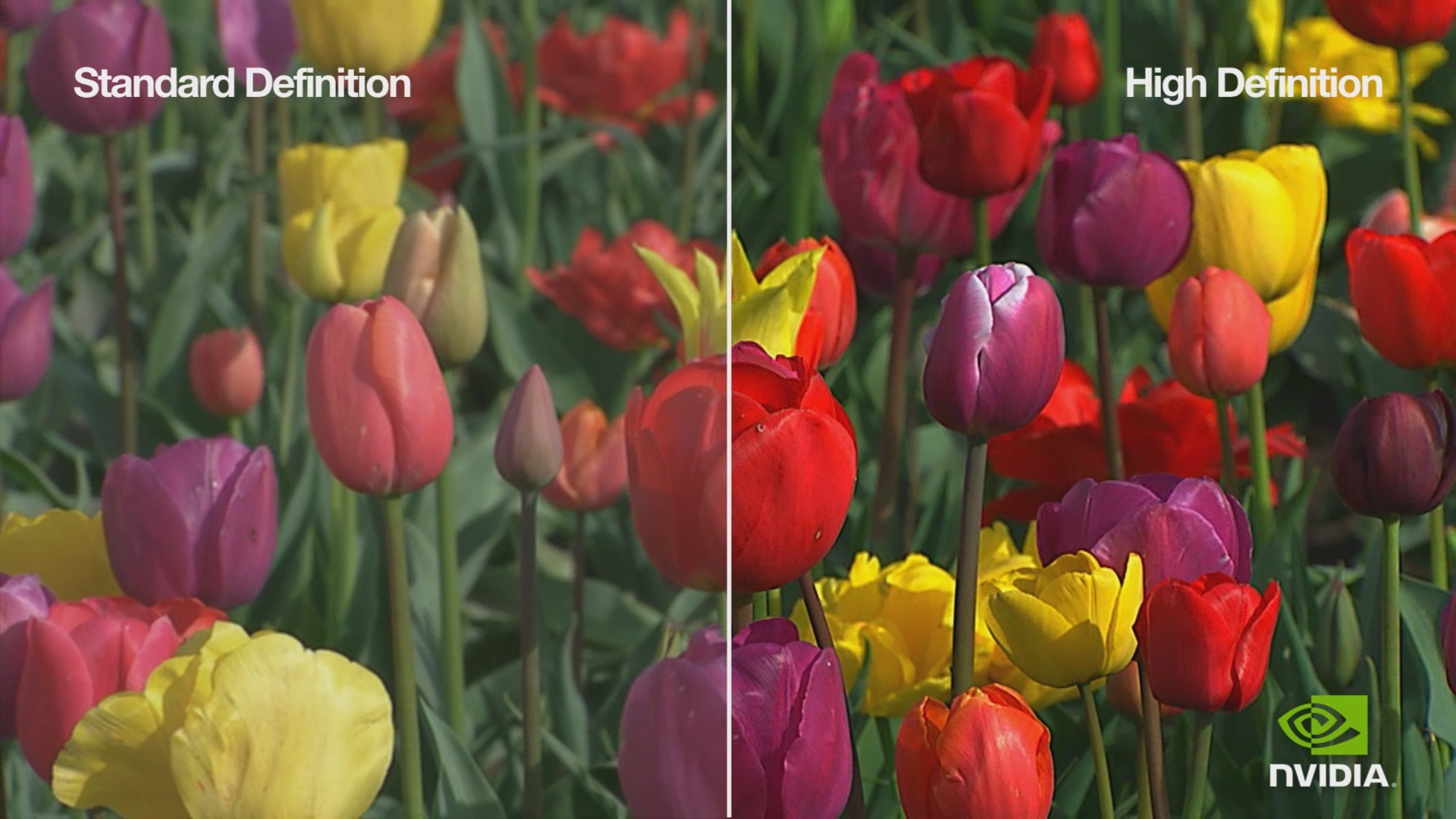 High Definition V Standard Definition - 1920x1080 Wallpaper - teahub.io