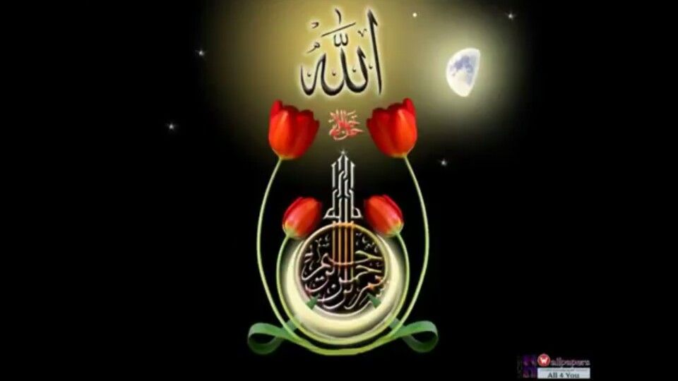 Rani Name Wallpaper - 960x540 Wallpaper - teahub.io