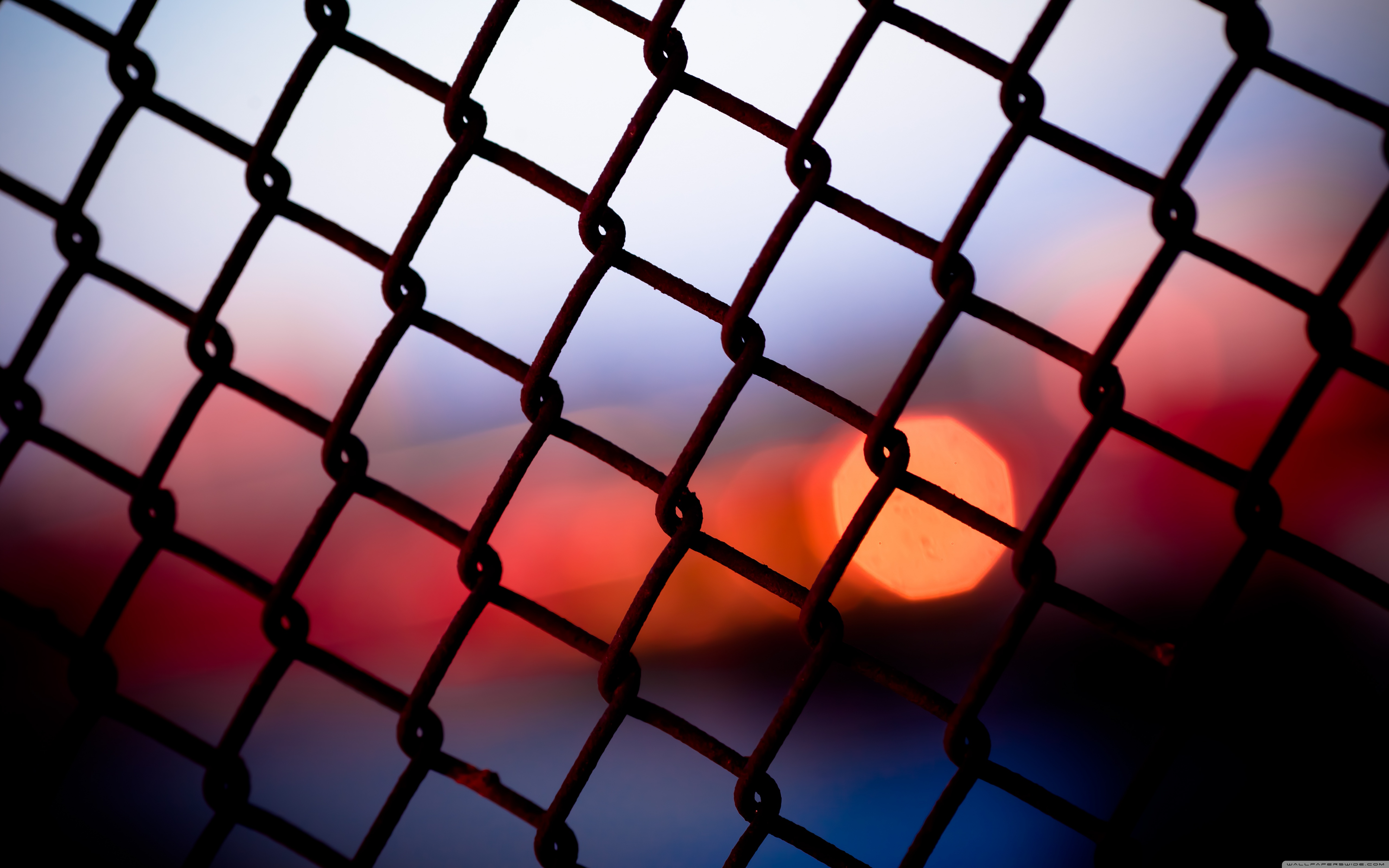 Barbed Wire Hd - 5120x3200 Wallpaper - teahub.io