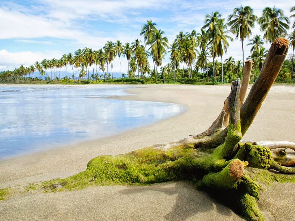 Super Background Images Hd - 1024x768 Wallpaper - teahub.io