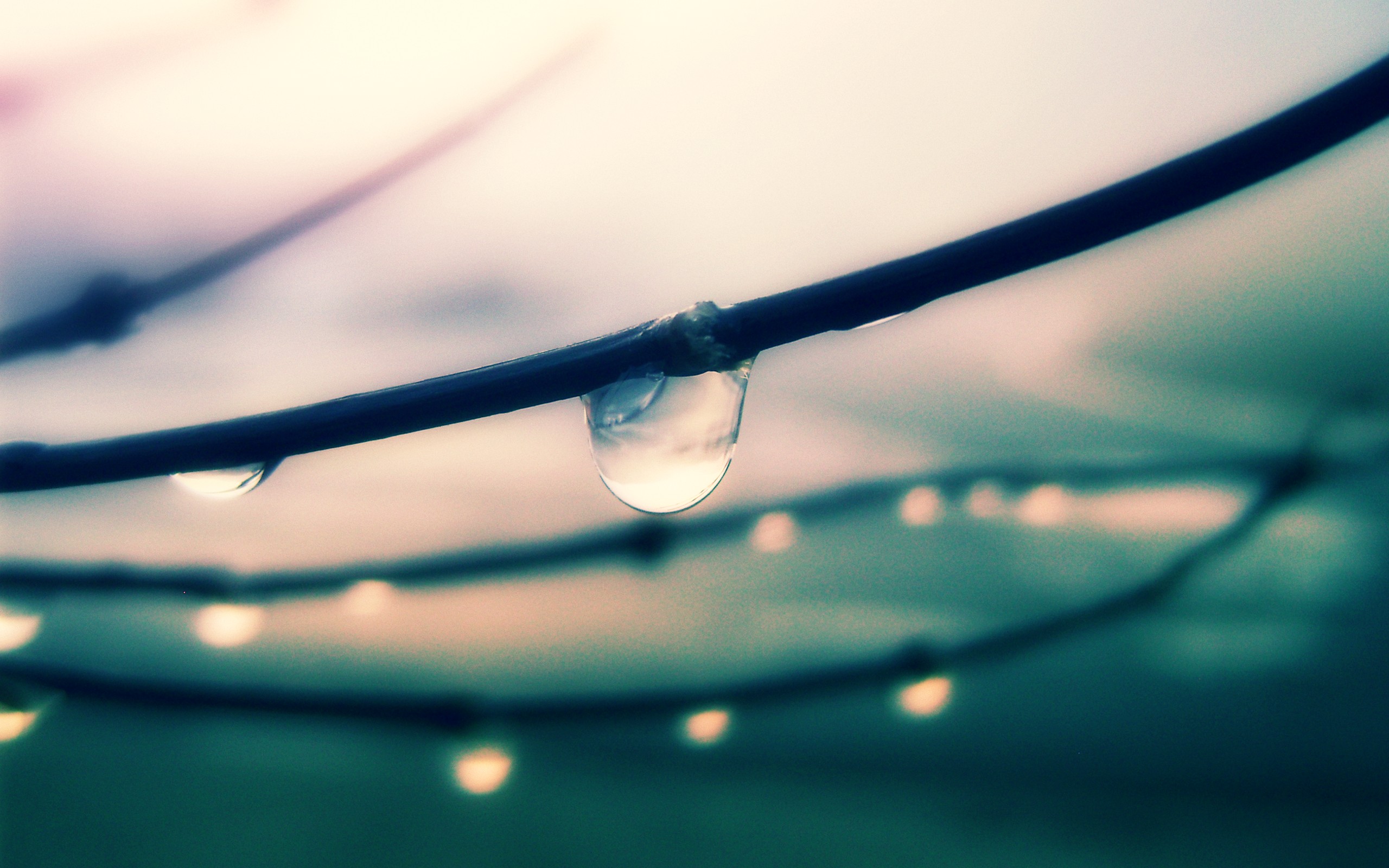 Gravity Nature - 2560x1600 Wallpaper - teahub.io