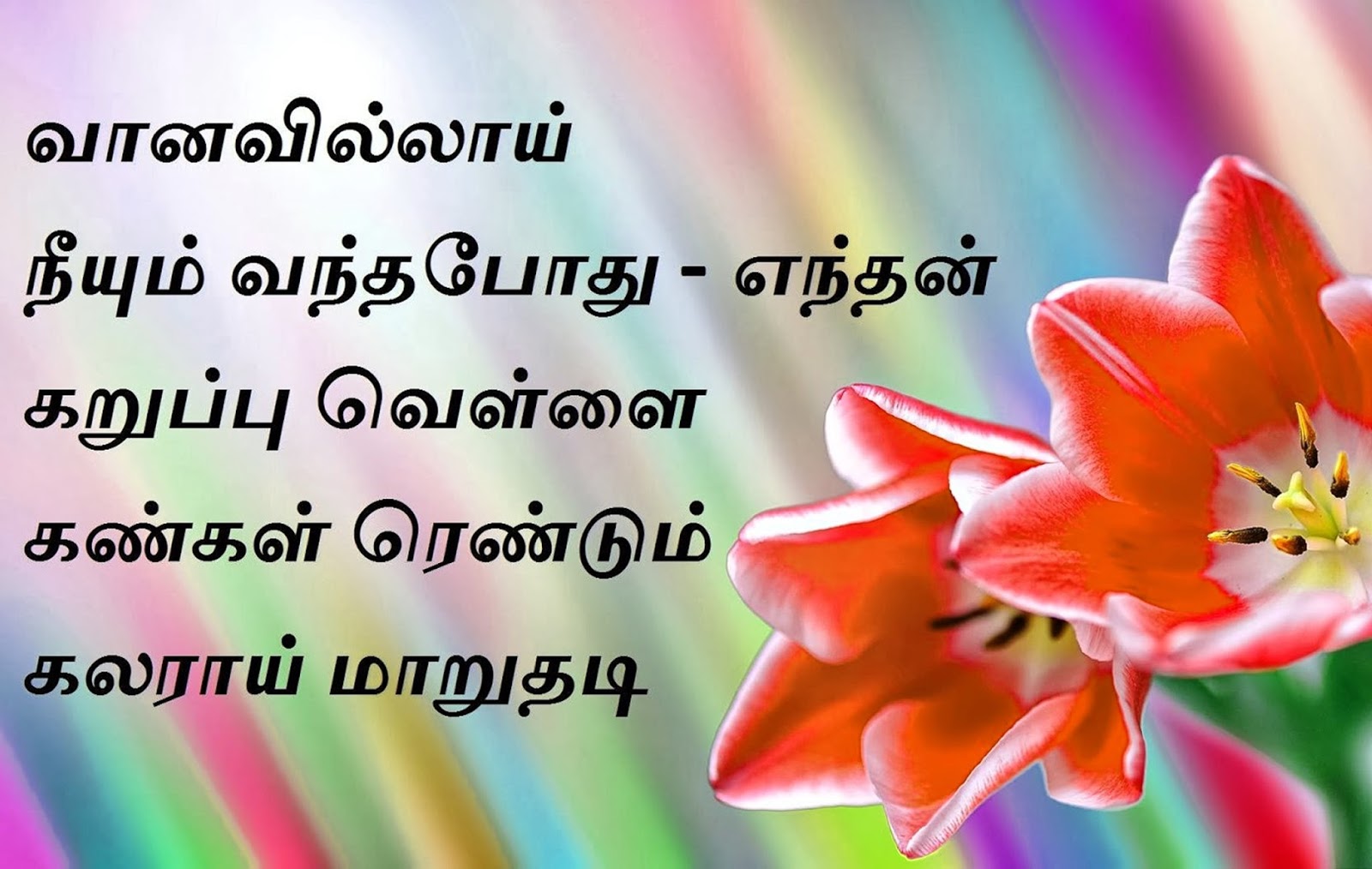 Tamil Text - 1600x1014 Wallpaper - teahub.io
