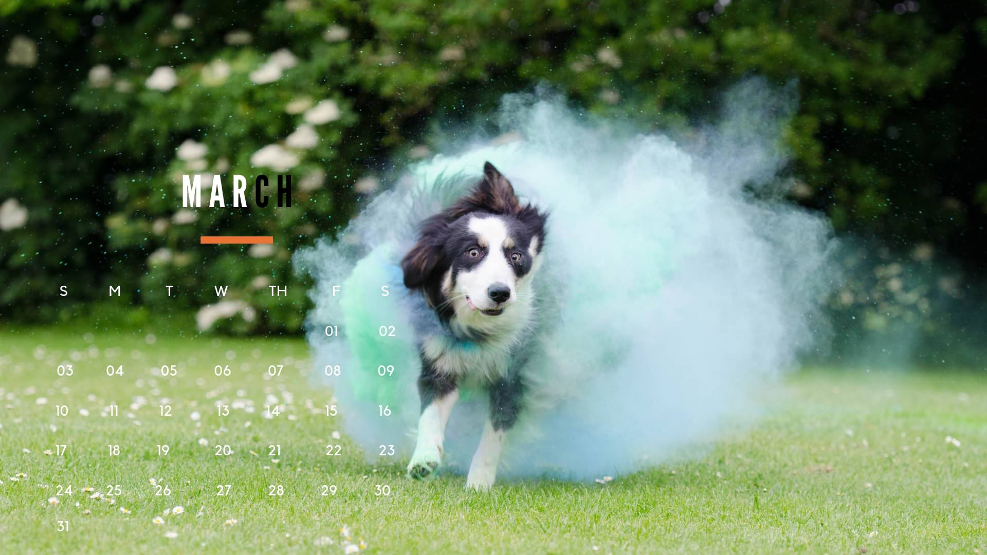 Hd Wallpapers For March 2019 - 1920x1080 Wallpaper - teahub.io