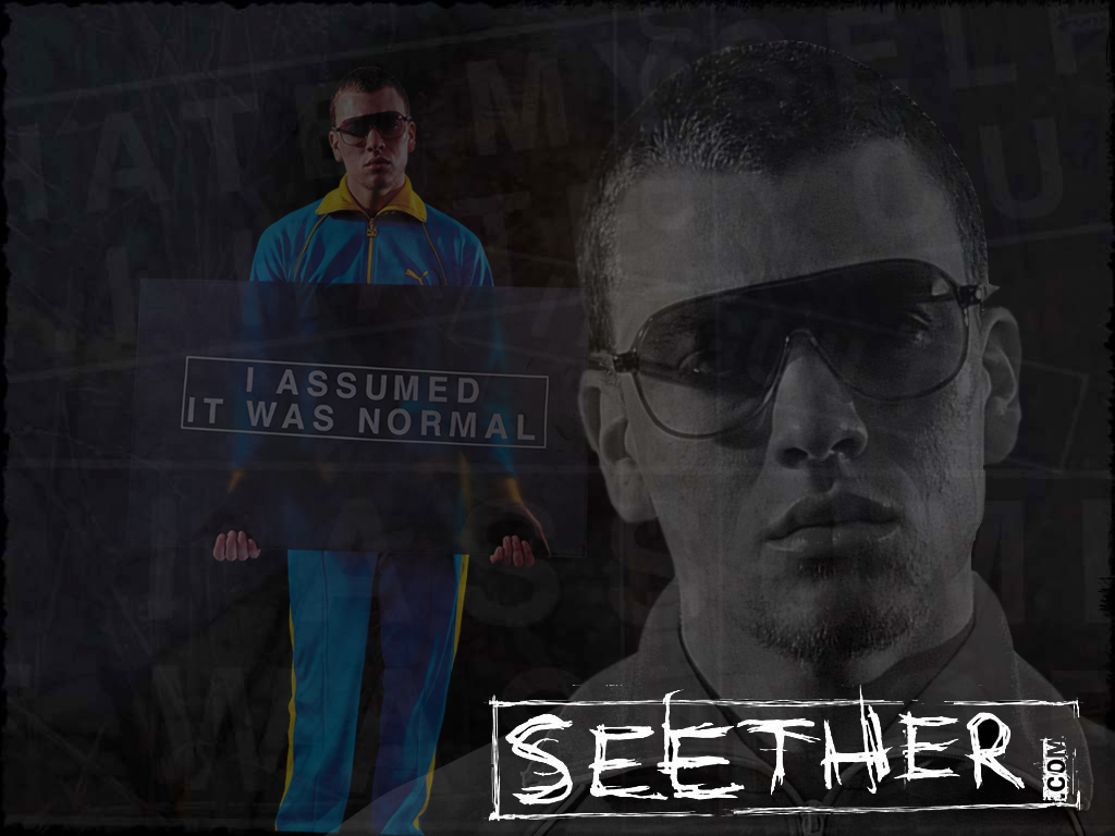 Seether - 1024x768 Wallpaper - teahub.io