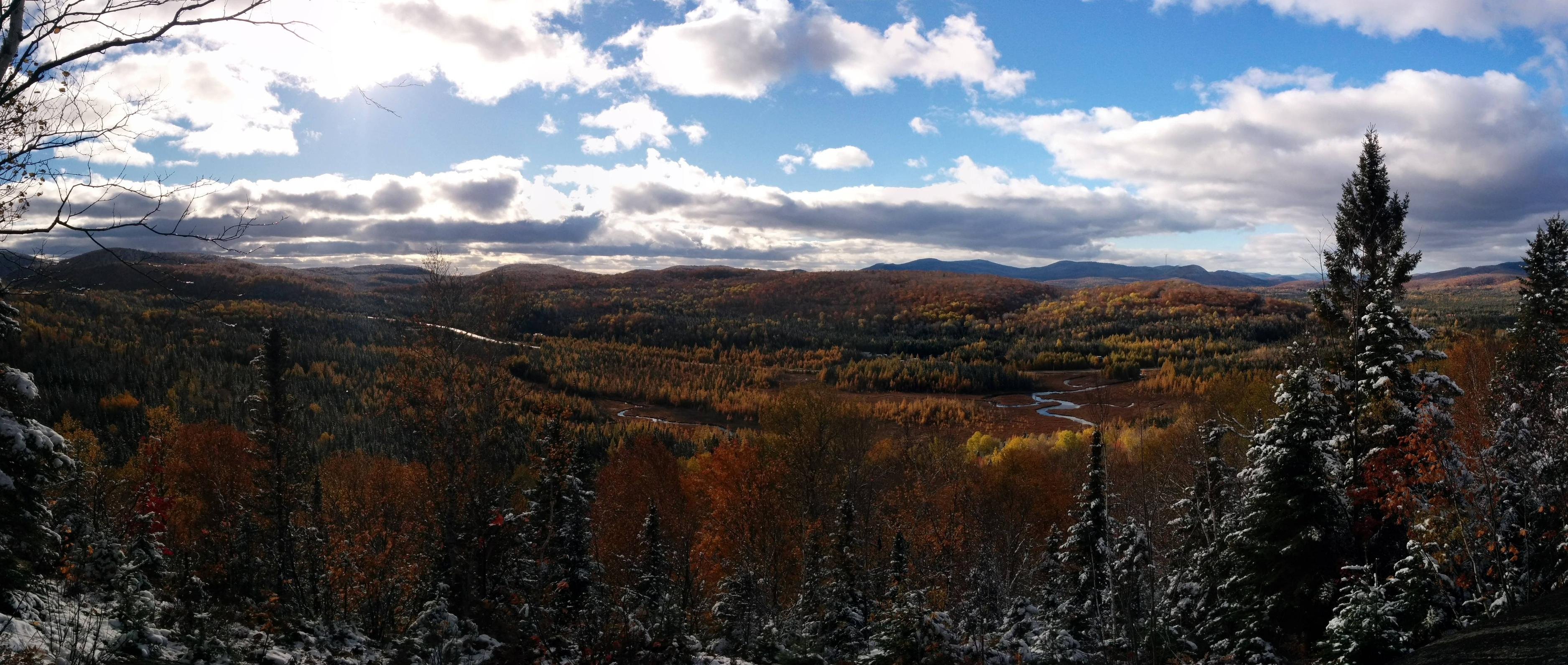 Four Seasons Notre Dame De La Merci Quebec Wallpaper - Tree - 3751x1591 ...