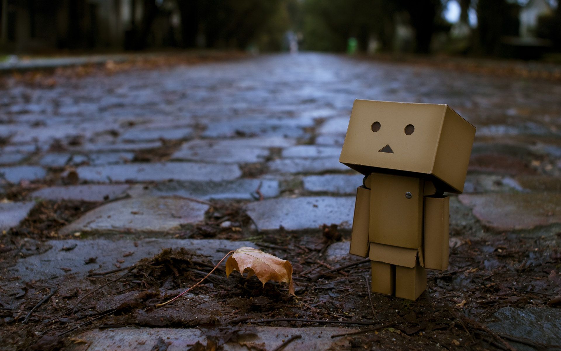 Alone Danbo Cardboard Robot - 1920x1200 Wallpaper - teahub.io