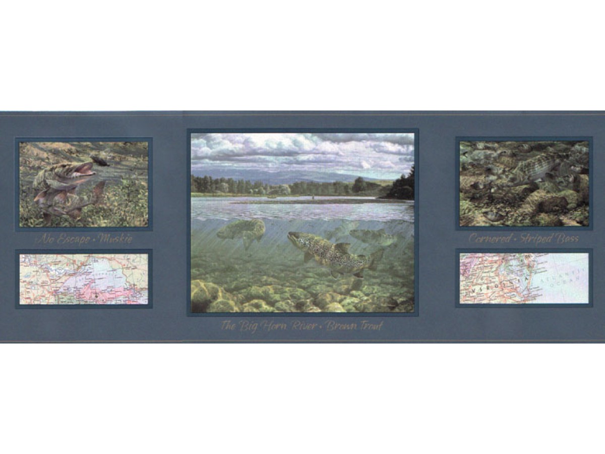 Picture Frame - 1200x900 Wallpaper - teahub.io