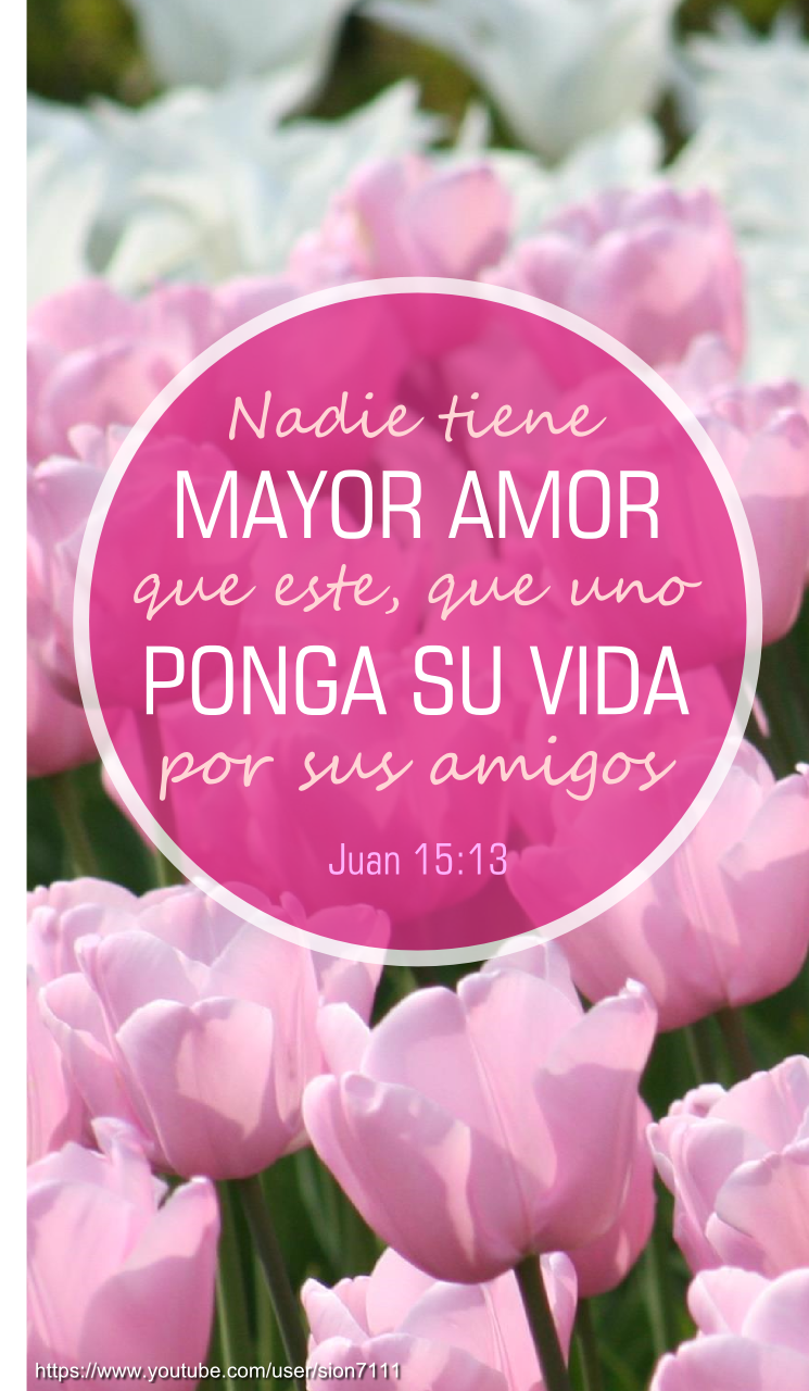 Bible, Christian Inspiration, And Cristo Image - Jamie Cullum And Katie ...