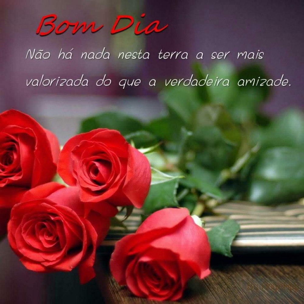 Good Morning Dears - 1000x1000 Wallpaper - teahub.io