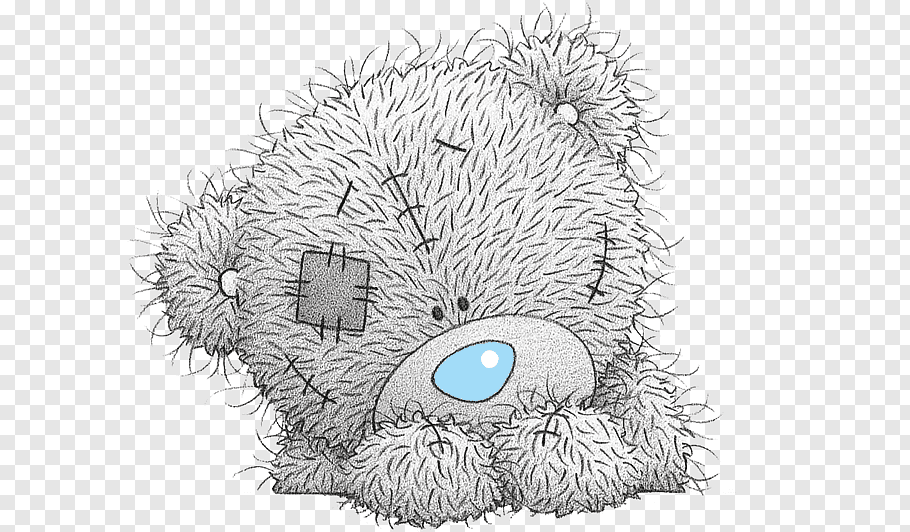 Line Bear Wallpaper - 910x532 Wallpaper - teahub.io