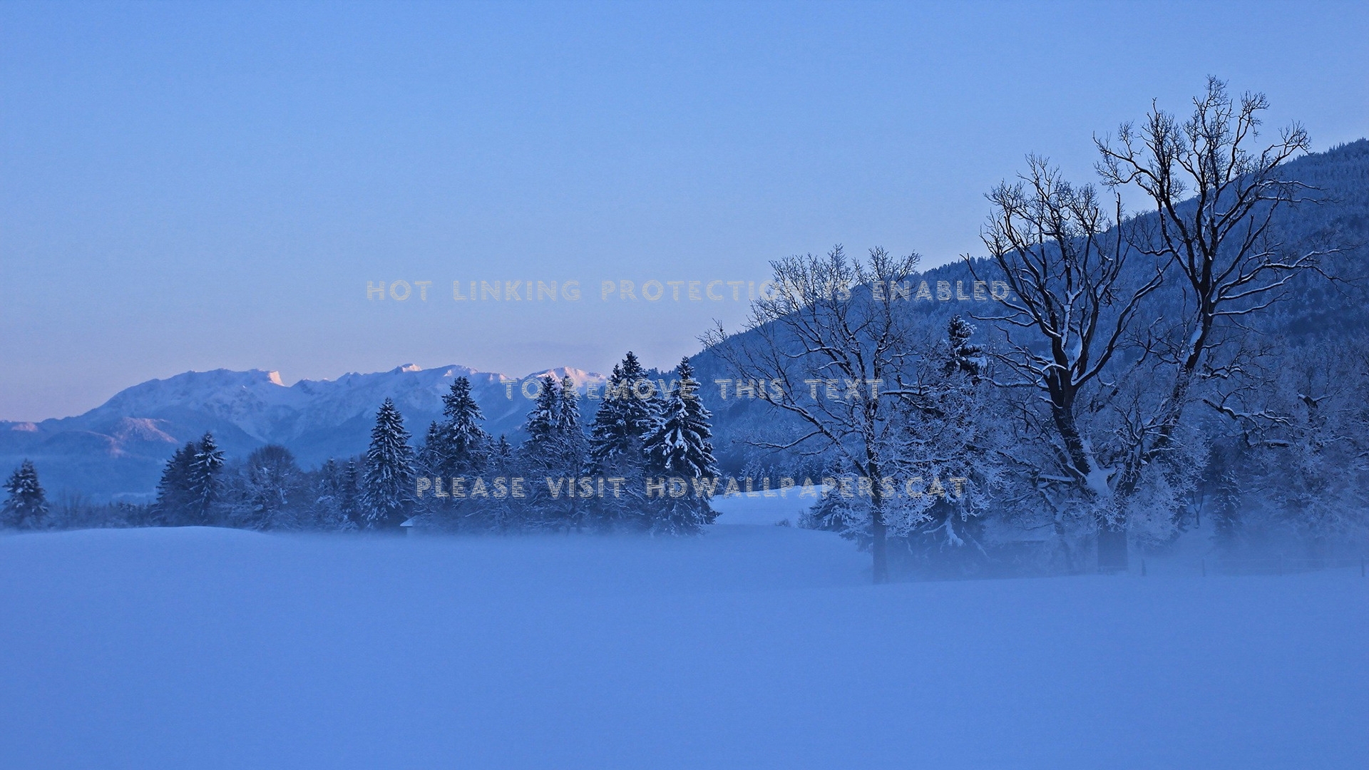 Blue Foggy Winter Morning Scene Fields Farm - 1920x1080 Wallpaper ...