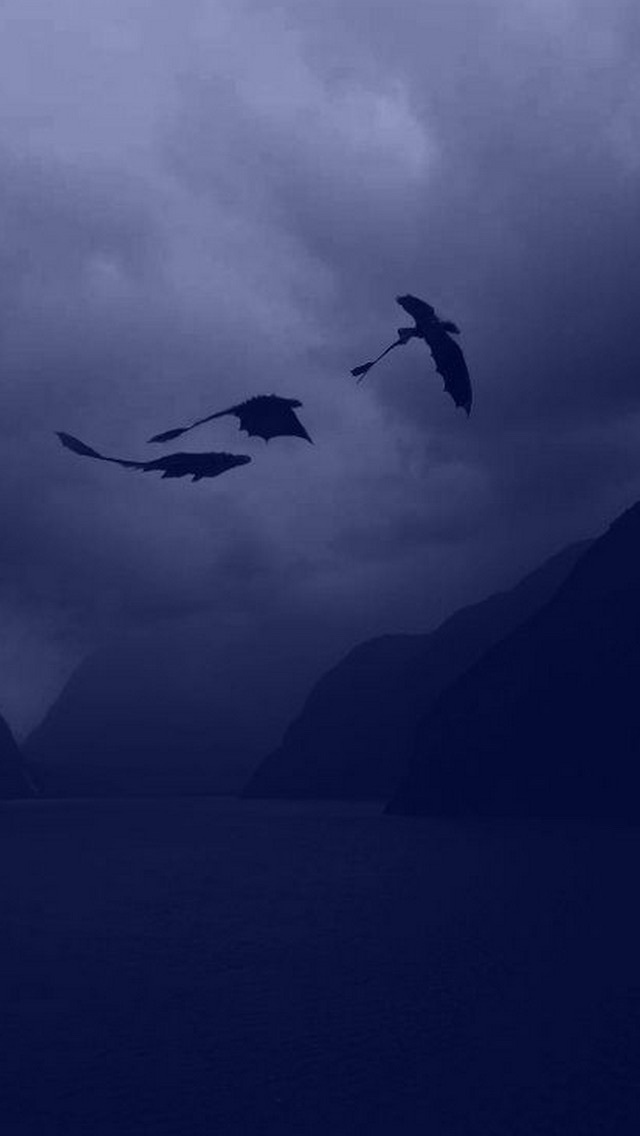 Dragon, Fantasy, And Dark Image - Seabird - 640x1136 Wallpaper - teahub.io