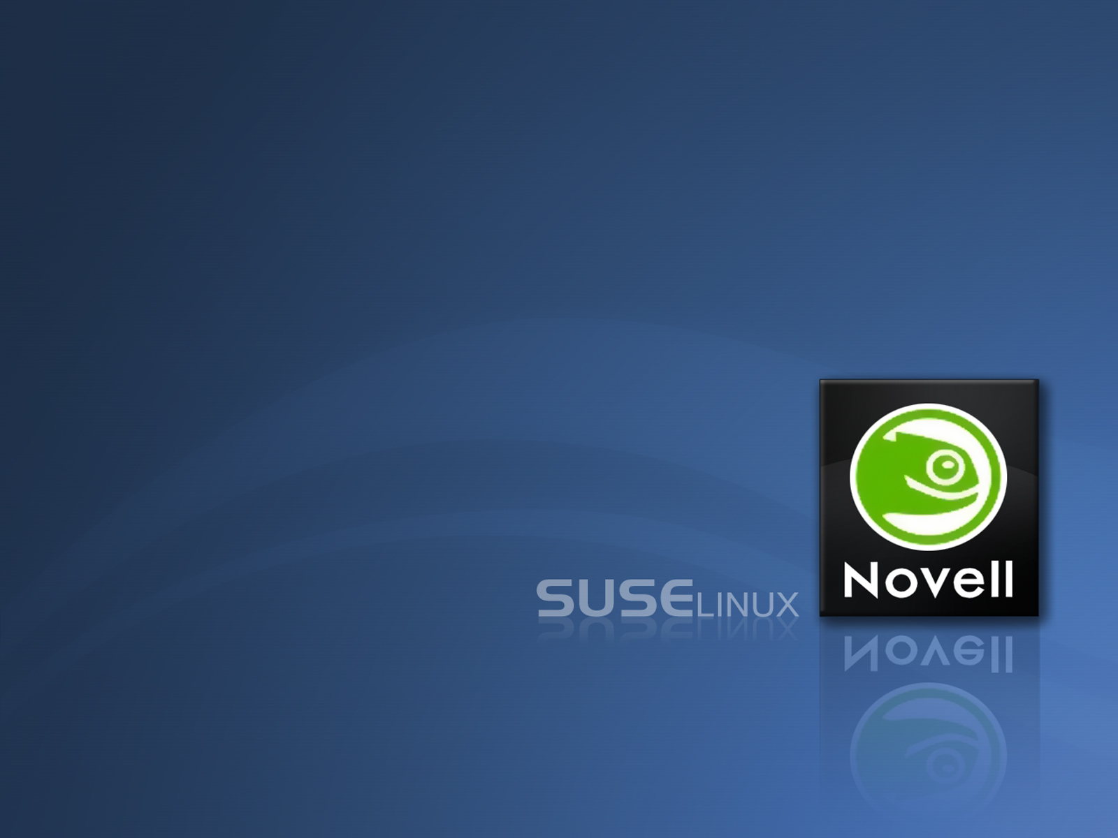 Suse Linux Novell - Suse Linux Enterprise - 1600x1200 Wallpaper - teahub.io