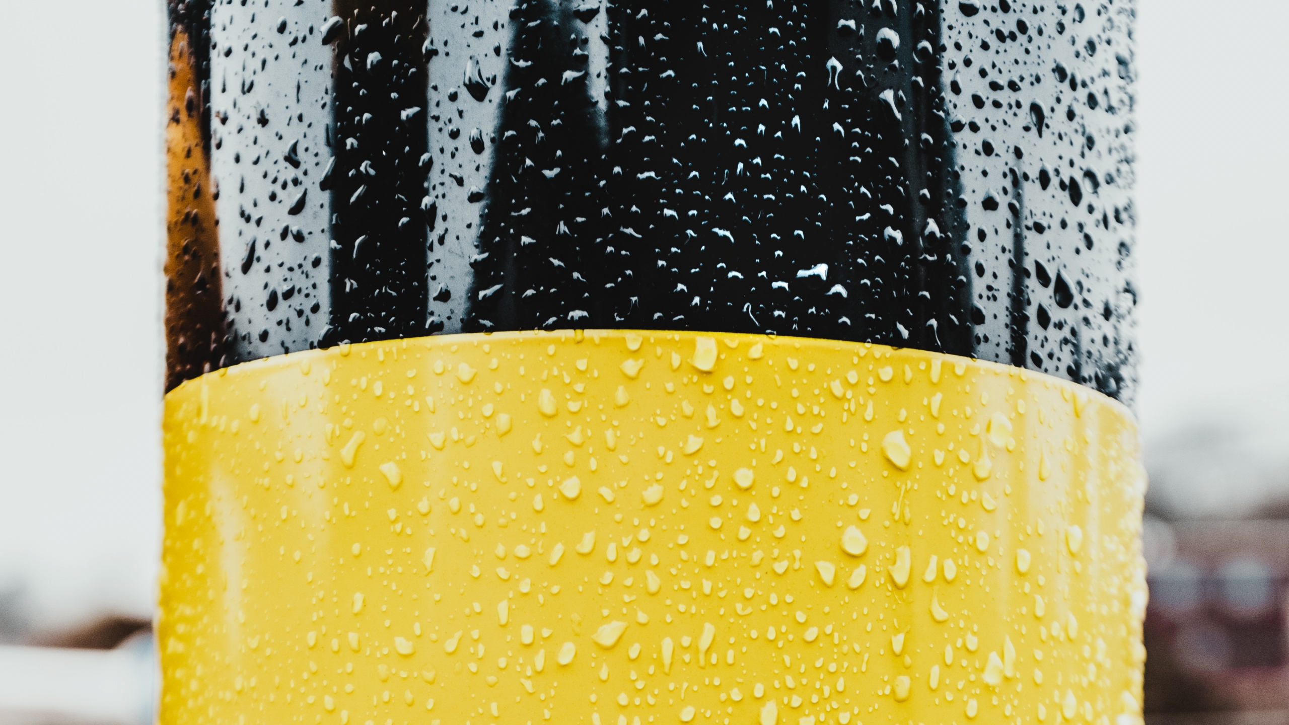 Wallpaper - 2560x1440 Wallpaper - teahub.io