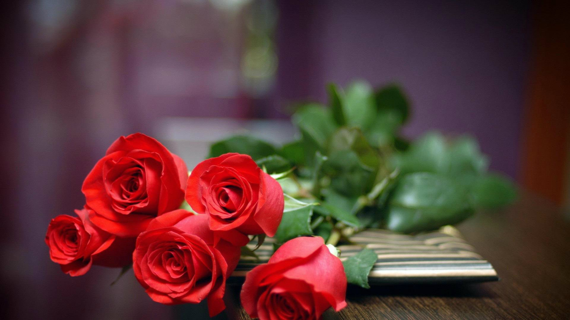 Full Hd Red Rose - 1920x1080 Wallpaper - teahub.io