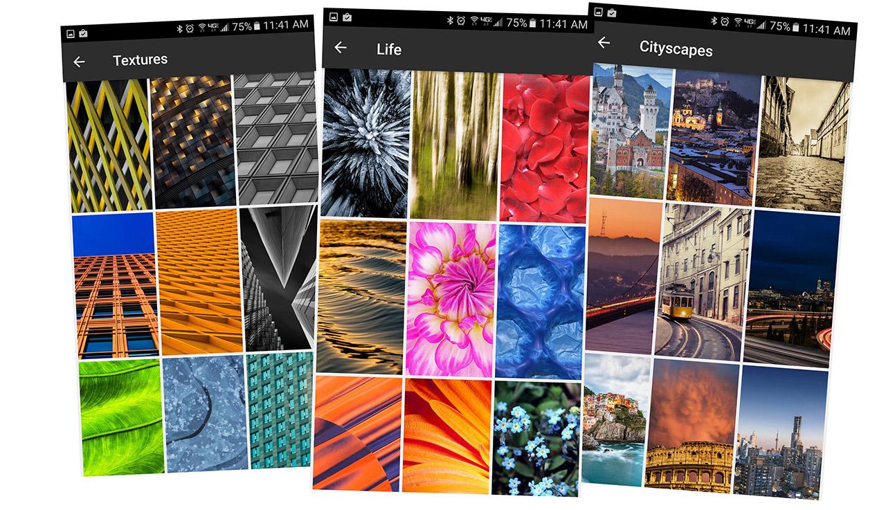 Wgeg - Collage - 1280x737 Wallpaper - teahub.io