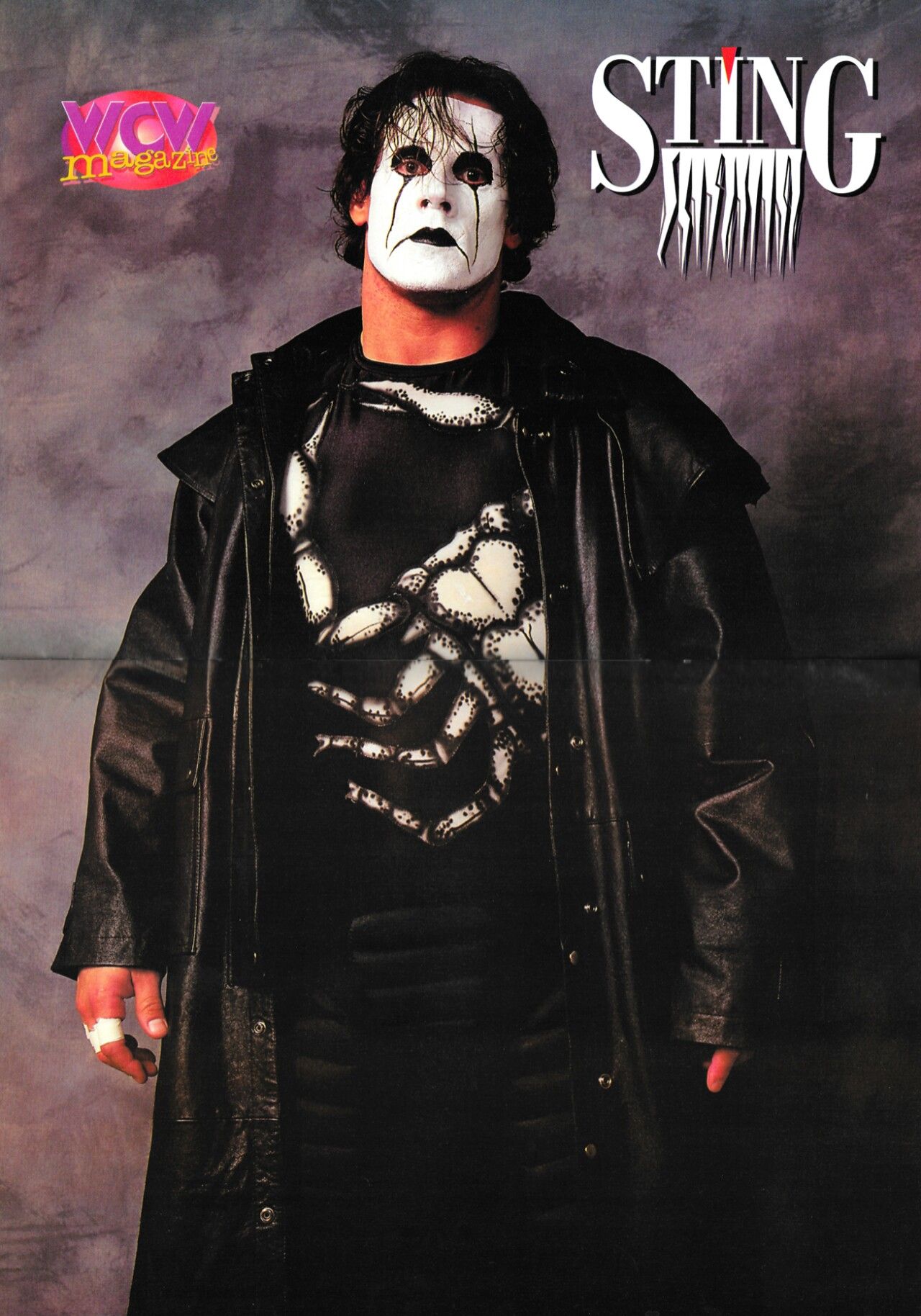 Sting Wcw 1997 Crow - 1280x1828 Wallpaper - teahub.io