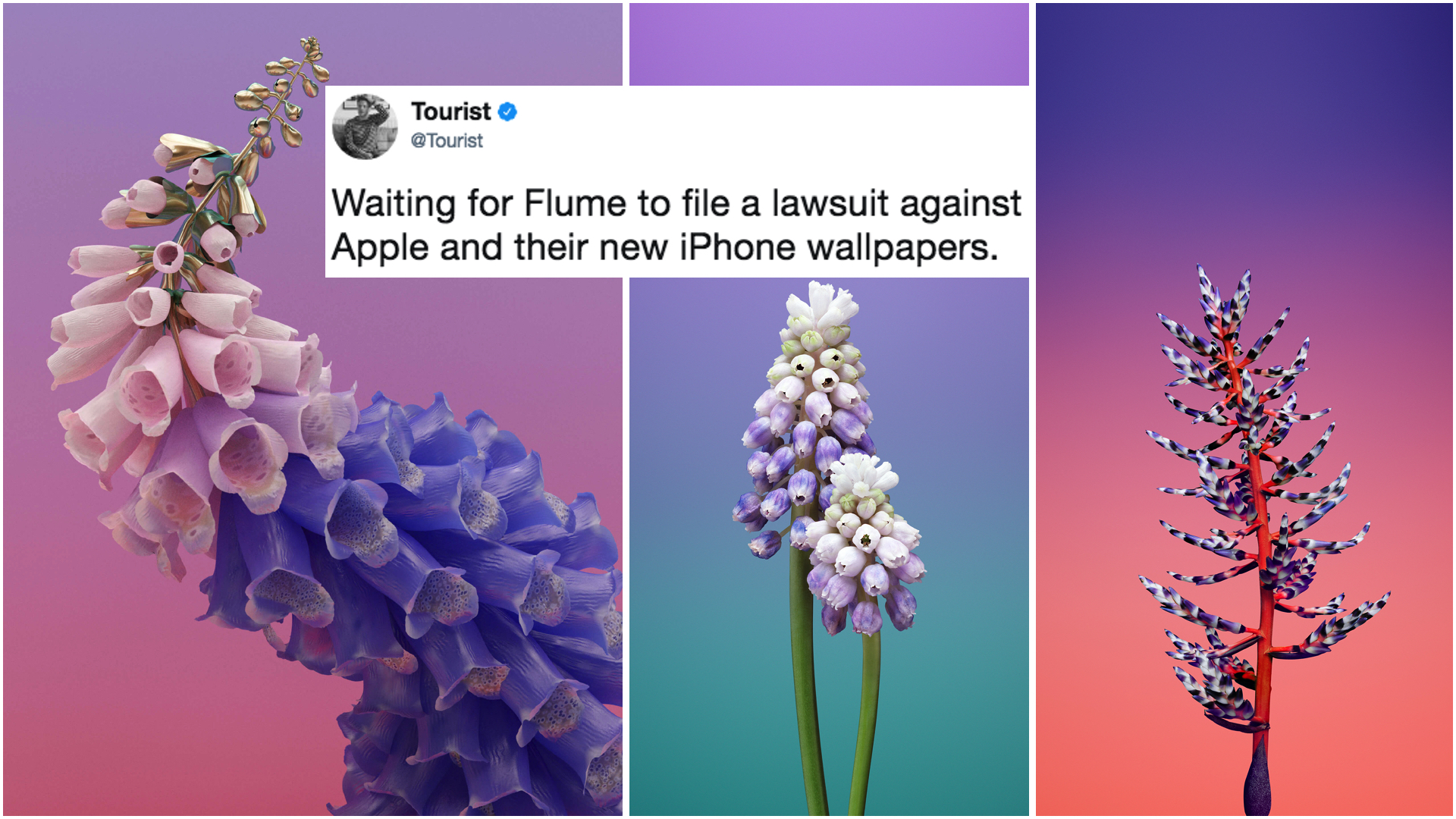 Flume Skin Album Art - 1920x1080 Wallpaper - teahub.io