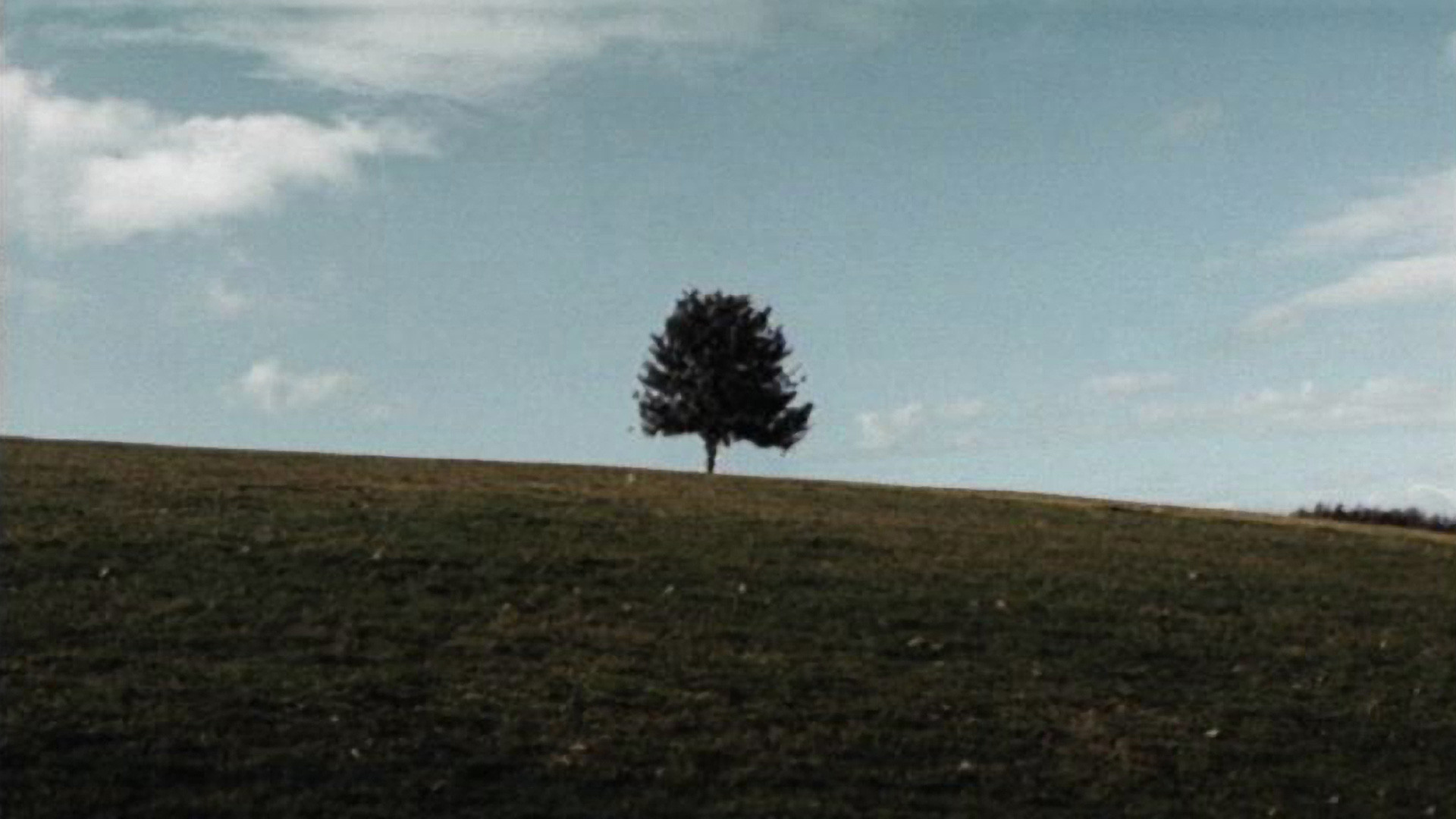 Hd Quality Wallpaper - Six Feet Under Tree - 1920x1080 Wallpaper ...