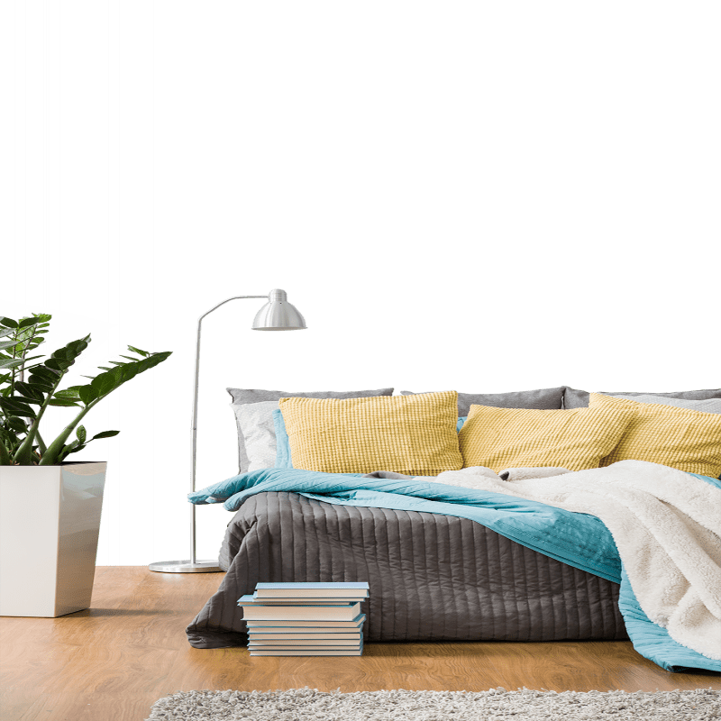 Листья На Стене Декор - 800x800 Wallpaper - teahub.io