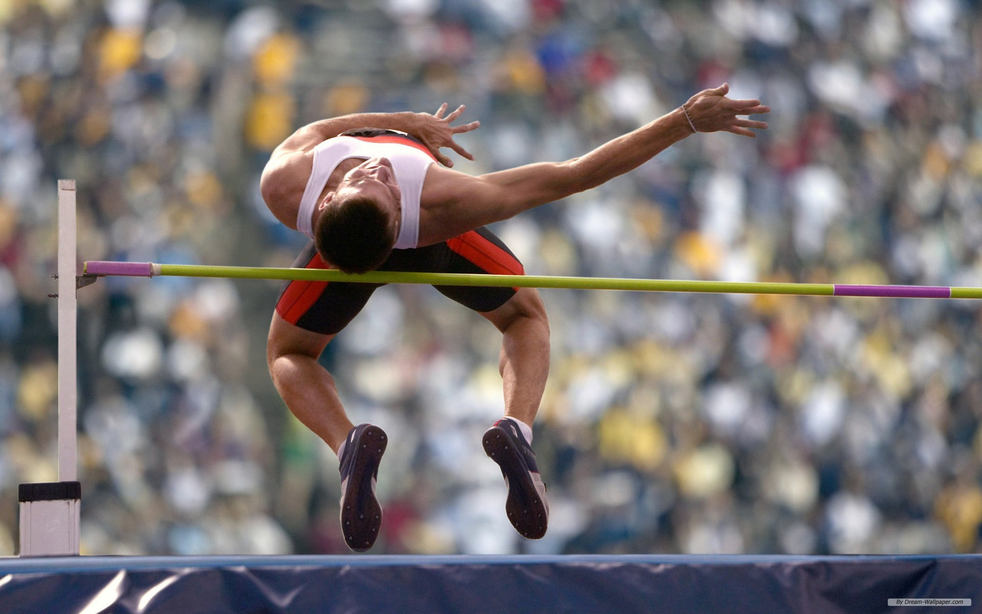 Free Sport Wallpaper - High Jump - 1920x1200 Wallpaper - teahub.io