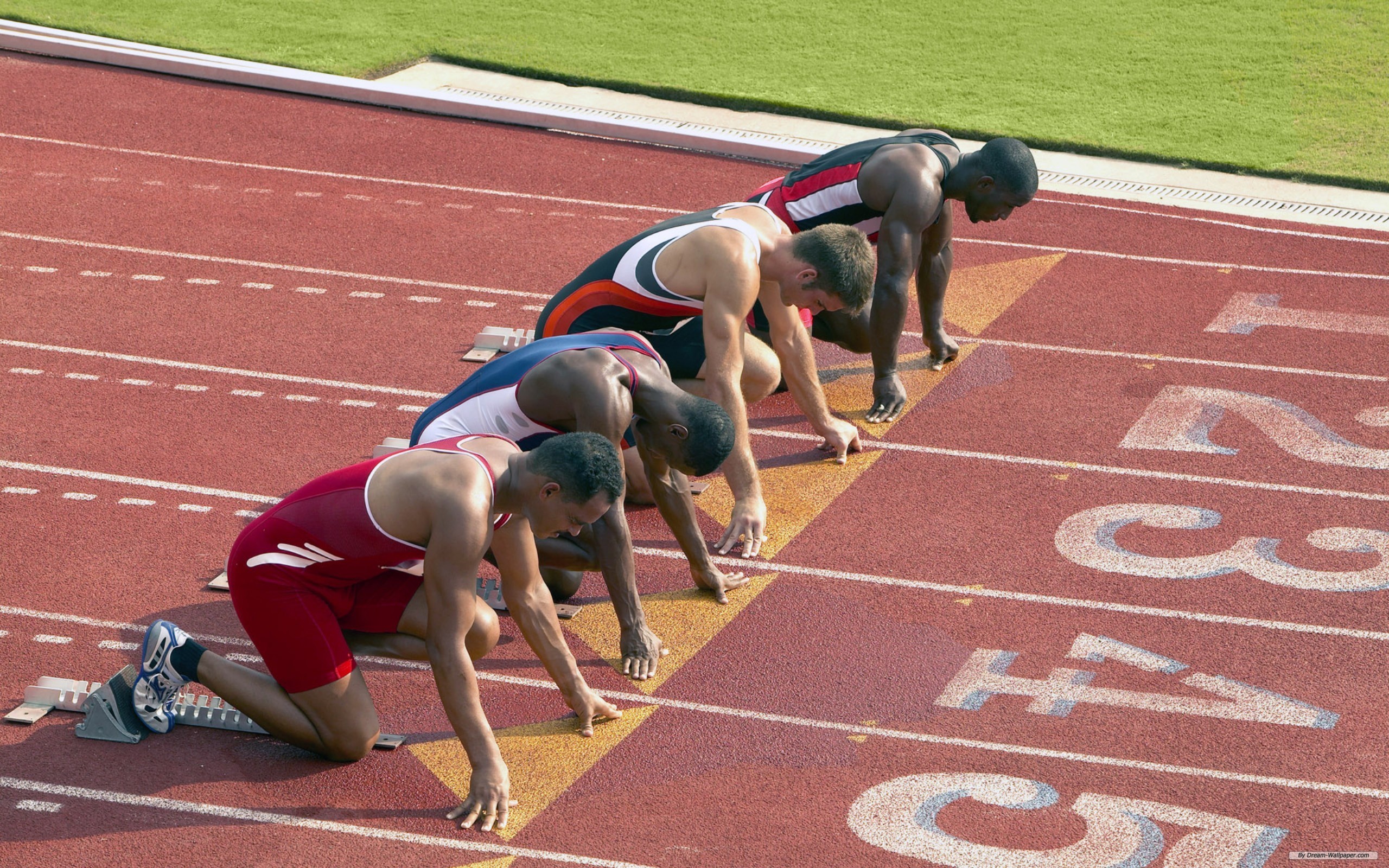 Free Sport Wallpaper - Track Runners Lined Up - 2560x1600 Wallpaper ...