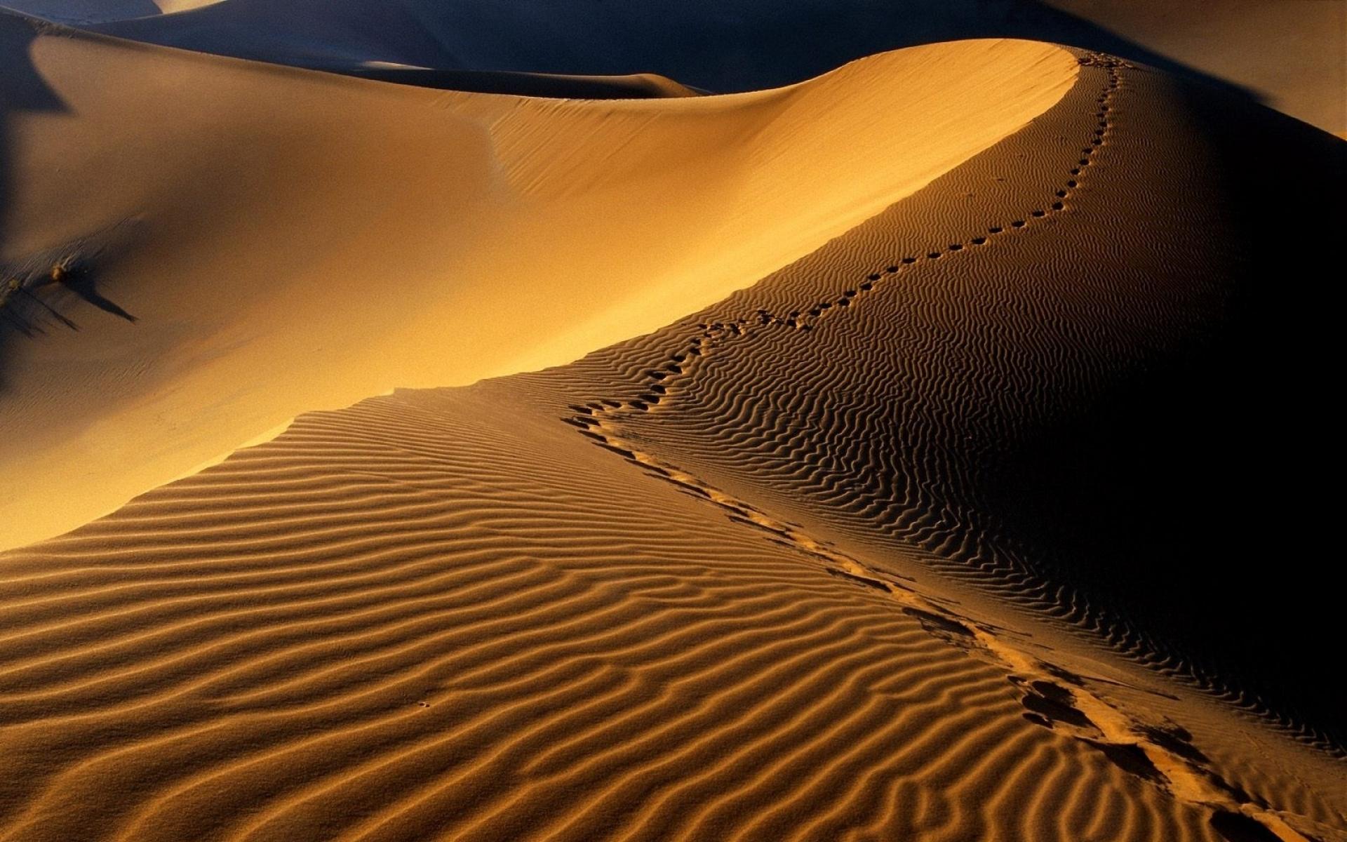 Wallpaper Foot - Foot Trails In Desert - 1920x1200 Wallpaper - teahub.io