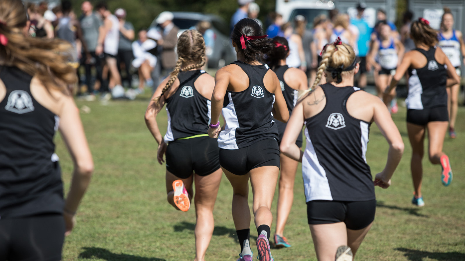 Cross Country Running Wallpaper