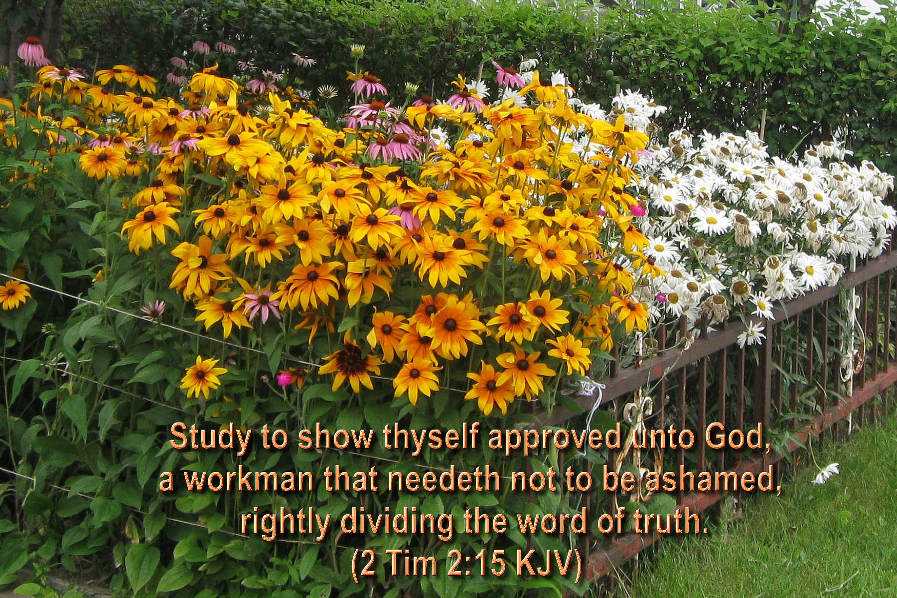 Bible Quotes For September - 1800x1200 Wallpaper - teahub.io