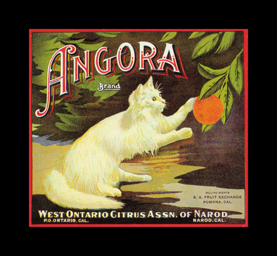 Angora Oranges - Angora Citrus Fruit Crate Labels - 1168x1080 Wallpaper ...