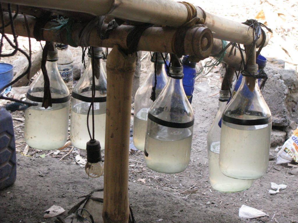 Arak Karang Asem Bali - 1024x768 Wallpaper - teahub.io