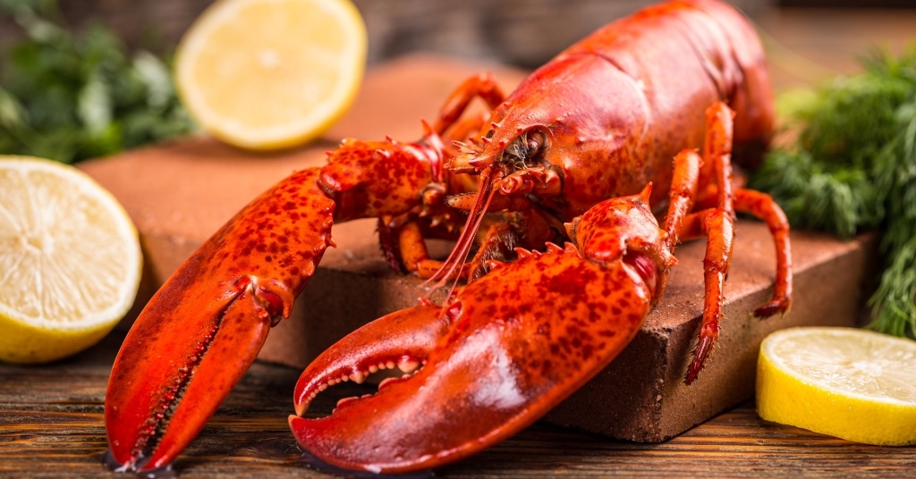 Delicious Lobster - Crustaceans Food - 1024x536 Wallpaper - teahub.io