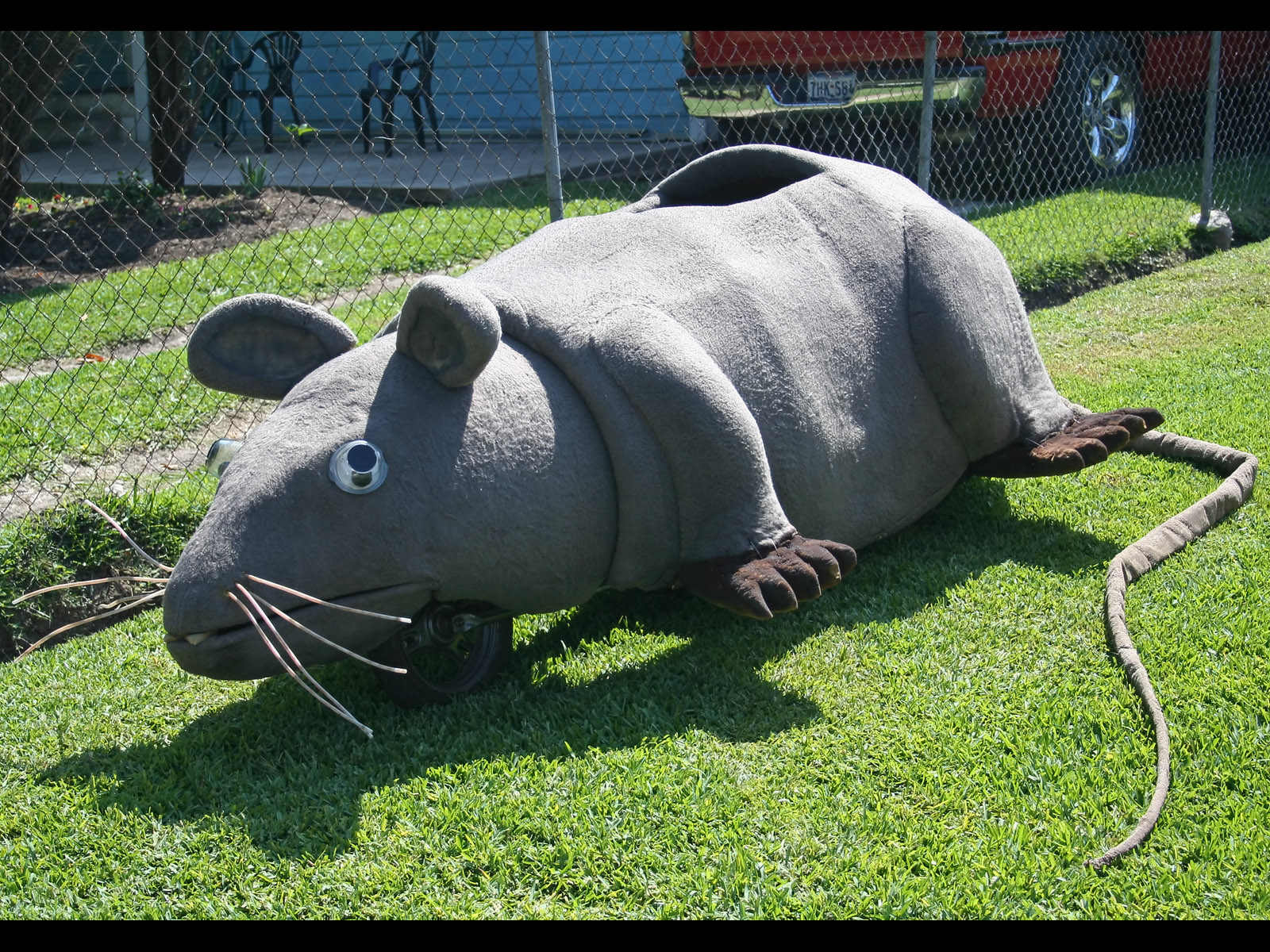 Python - 1600x1200 Wallpaper - teahub.io