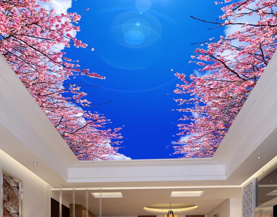 14385432 - 3d Wall Stickers Ceiling - 886x696 Wallpaper - teahub.io