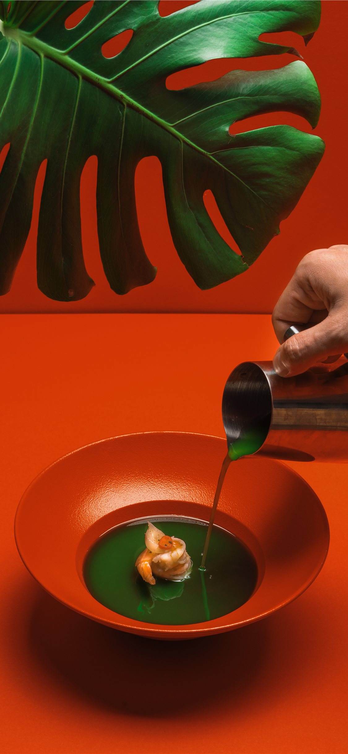 Different Types Of Suap - 1125x2436 Wallpaper - teahub.io