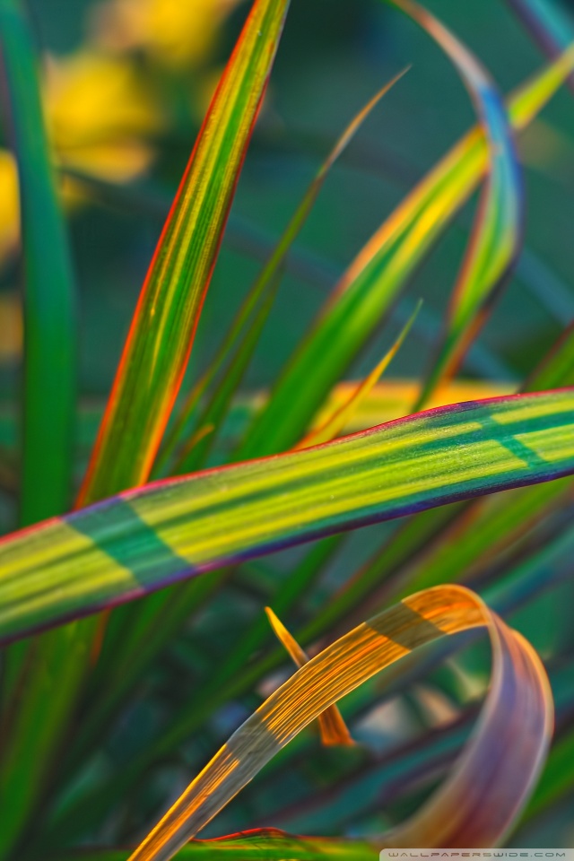 Download Ultra Sharp Wallpaper Phone - Teahub.io