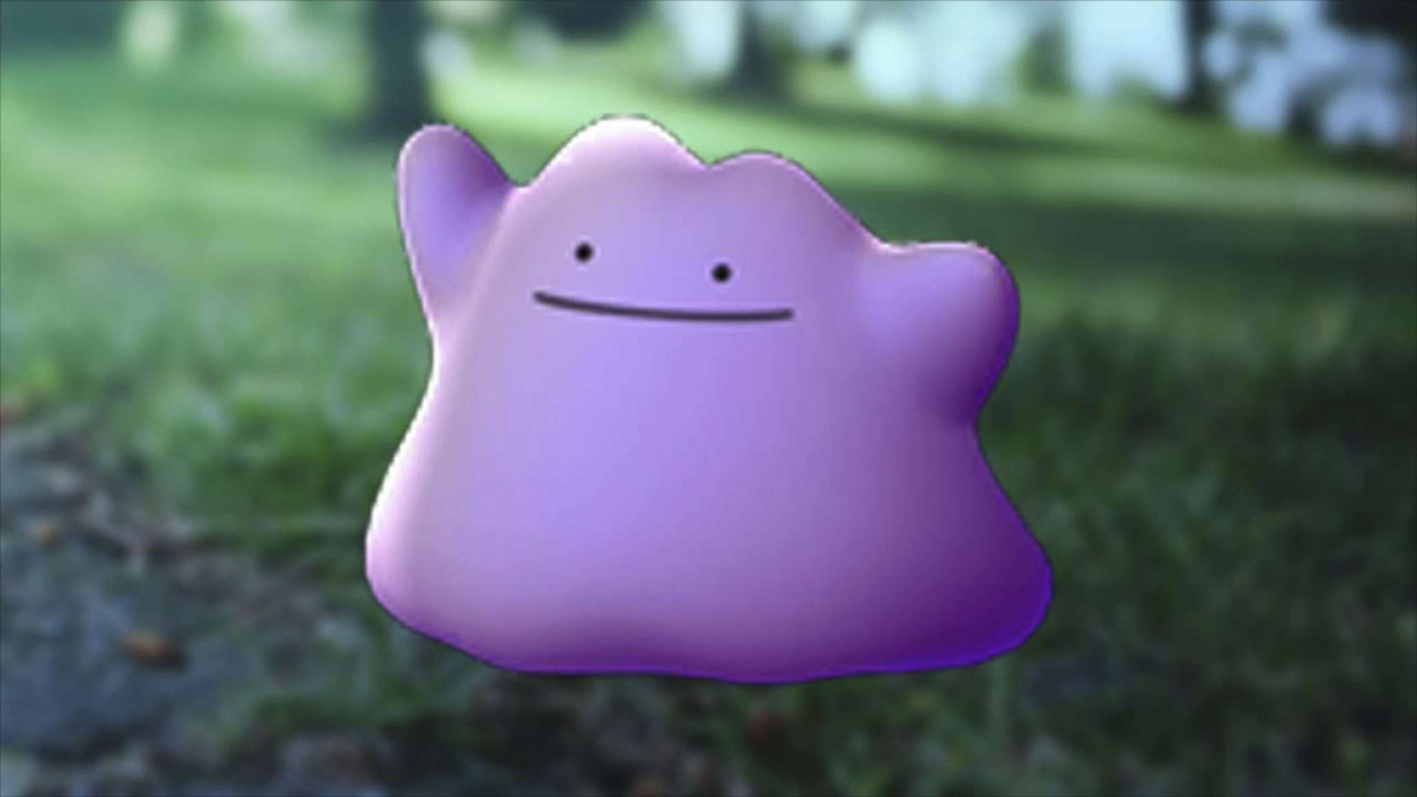 Ditto Pokemon Go Model - 2048x1152 Wallpaper - teahub.io
