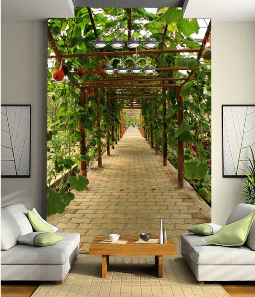 3d Forest Pathway Wallpaper - 3d Pathway - 860x1000 Wallpaper - teahub.io