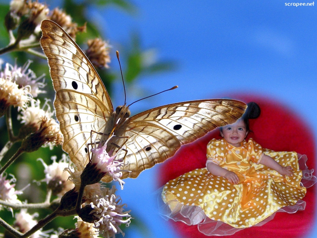 Download Projapoti - Teahub.io