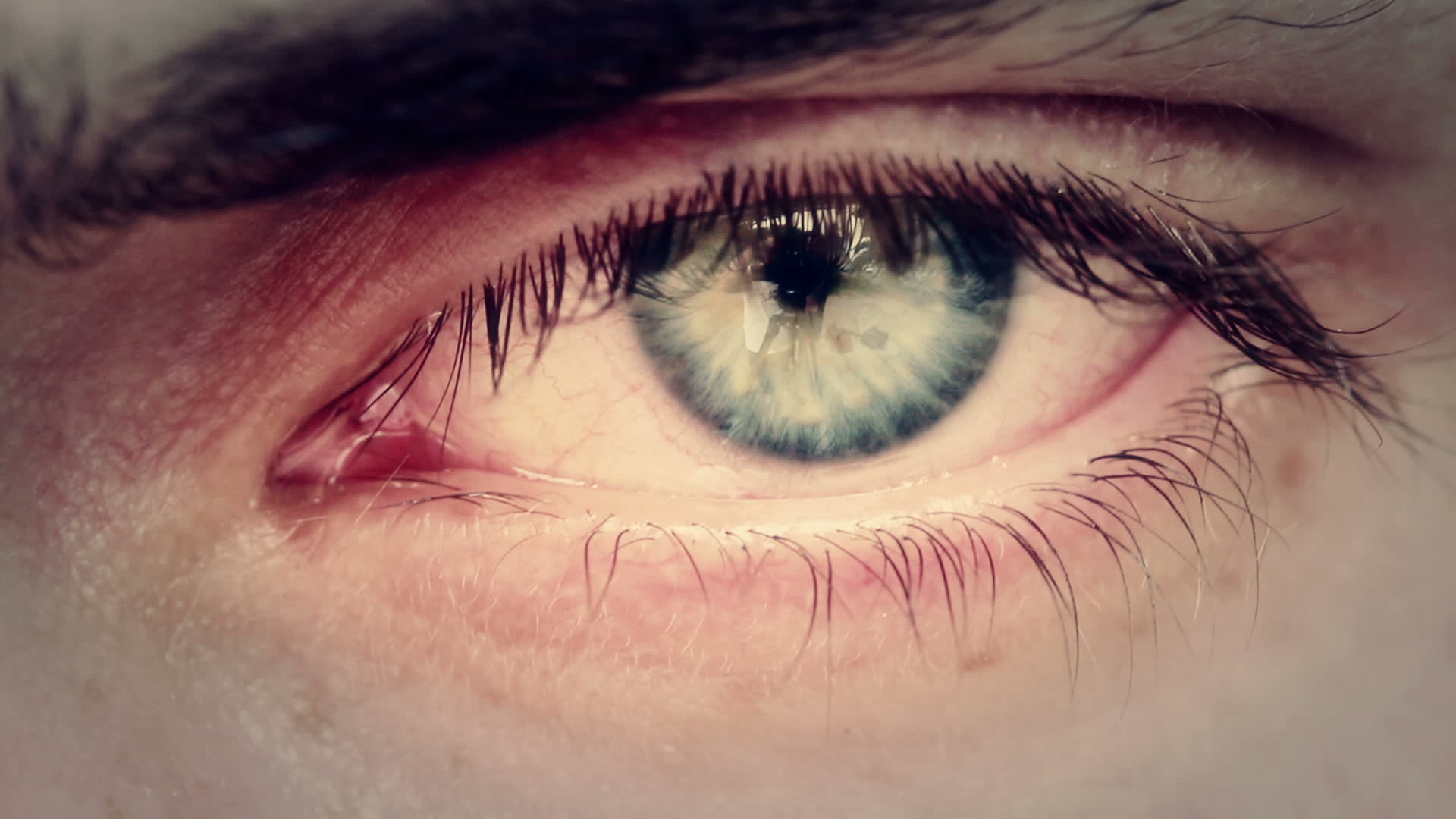 Man Eyes - 1920x1080 Wallpaper - teahub.io